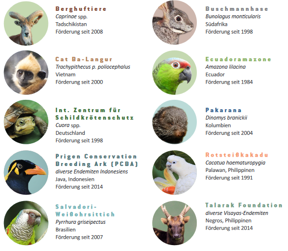 ZGAP - Hilfe für unbekannte hochbedrohte Arten - Aktuelles